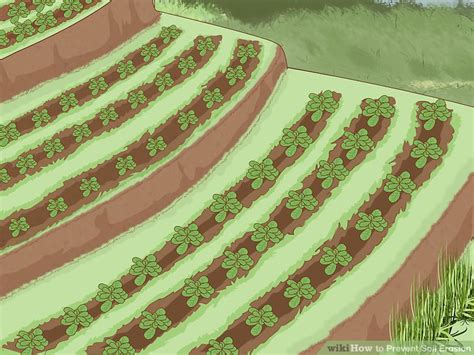 How To Prevent Soil Erosion 15 Steps With Pictures WikiHow