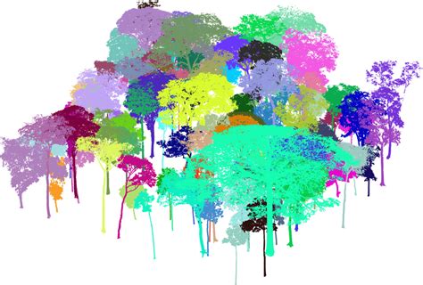 Individual Tree Point Clouds Extracted For Plot Lpg01 From The