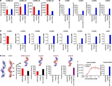 Lilrb2 Blockade Facilitates Macrophage Repolarization And Enhances T Cell Mediated Antitumor