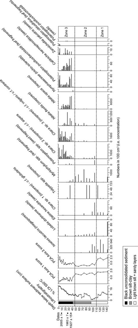 Summary Of The Plant Macrofossil Concentration Stratigraphy For Leve Download Scientific