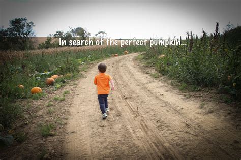 Schusters Pumpkin Patch Dubuque Ia