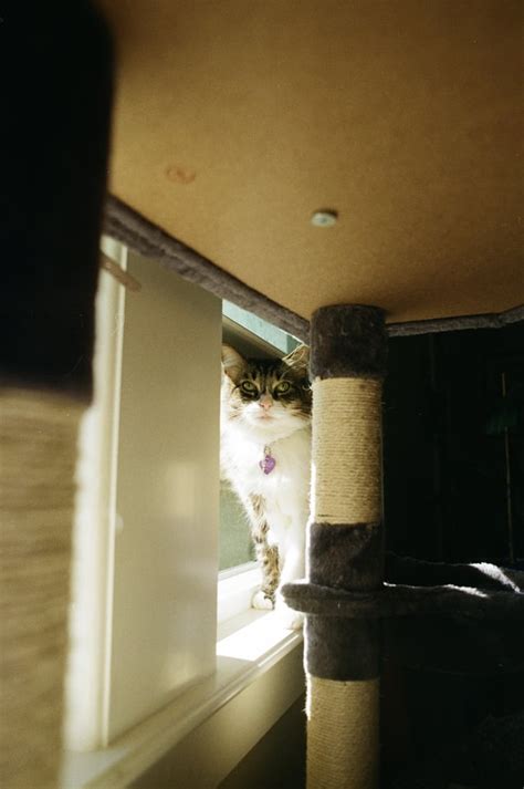 Theo And Pixie Rawwnalog