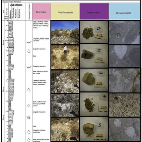 Lithologic Log Of Chorgali Formation Pail Section Download