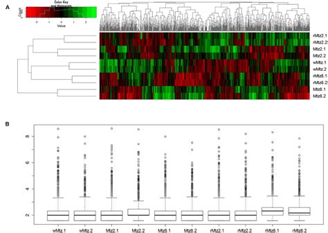 Gene Relative Expression Analyses A Heatmap Showing The Relative