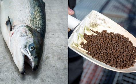 Antony J Prabhu Philip On Linkedin 20 Millioner Til Nytt