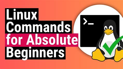 Most Useful Linux Server Commands For Beginners Youtube