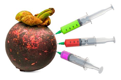 화학 물질의 전체 주사기망고스틴 유전자 식품 수정 개념 흰색 배경에서 격리된 3d 렌더링 0명에 대한 스톡 사진 및 기타 이미지 Istock