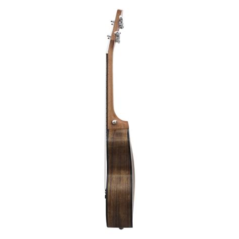 212326inch Walnut Wood Ukulele Guitar 4 Strings Vicedeal