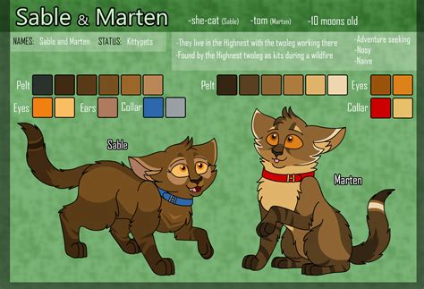 Sable And Marten Reference Sheet Commission By Thedawnmist On Deviantart