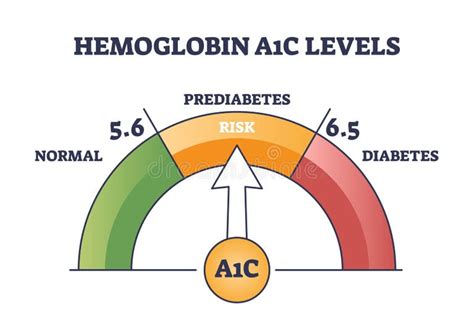 Hemoglobin A1c Stock Illustrations 29 Hemoglobin A1c Stock