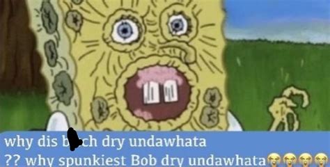 Why He Dry Undawhata R Spongebob