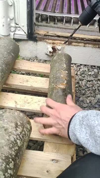 Video Obeidullah Ahmadi On Linkedin Mushroomcultivation