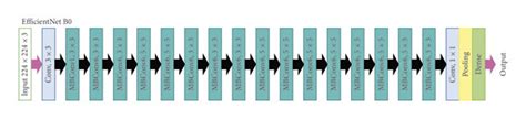 Efficientnet B0 Baseline Architecture Download Scientific Diagram