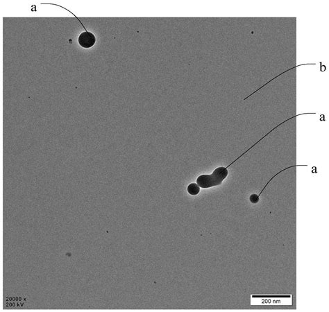 Nano Selenium Composite Gel And Preparation Method Thereof And