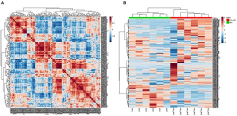 Correlation Of The Metabolomics Data A Each Metabolite In The Square Download Scientific