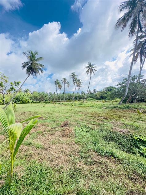 පුත්තලම පාරේ බංගදෙනියේ කරුක්කුලිය වැව ආසන්නයේ අක්කර2ක පොල් ඉඩමක් ඉතා ඉක්මනින් විකිණීමට මිල ලක්ෂ130කි