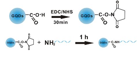 Figure 2 From Protocol For Constructing Gqd Pmo Functionalized Fet