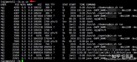 用“kill”命令来强制终结某个行为或失常的应用和命令 知乎 用“kill”命令来强制终结某个行为或失常的应用和命令 知乎