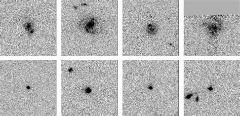 Example Images Showing The Morphological Classification Applied The