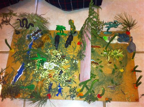 Maravillate Con La Naturaleza 5° A Maquetas De Ecosistemas