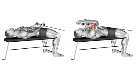 12 Best Ways To Do Bicep Curl Dumbbell Barbell And Cable