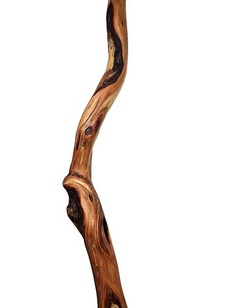 Raw Diamond Willow For Walking Hiking Stick And Woodworking Projects Boreal Blue