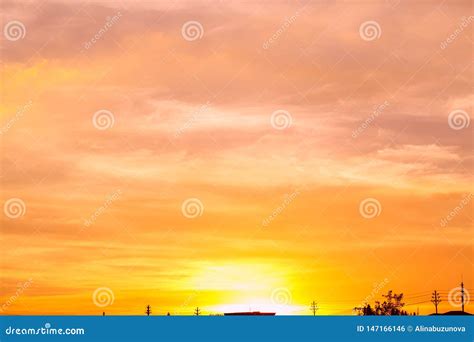 Sunset Sky Clouds Trees Orange Colorful Abstract Background With Fiery Orange Sky And Clouds At
