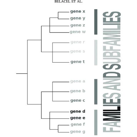 Dendrogram The Most Popular Method To Cluster Microarray Data Starting