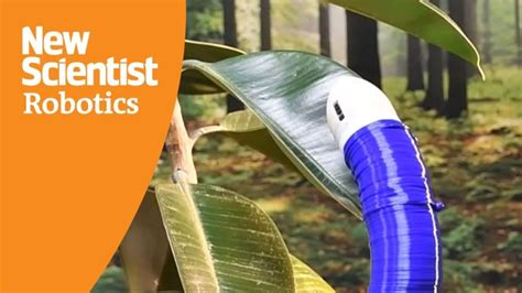 Meet Filobot The Self Building Vine Like Climbing Robot Namics