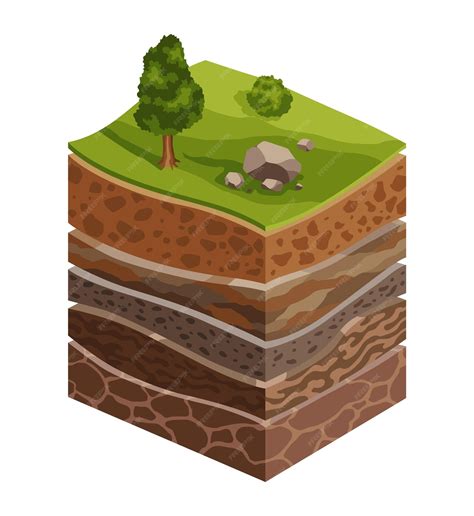 Premium Vector Showing Soil Layers Of Earth Cross Section Schematic