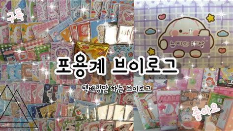 포용계 브이로그 포용 택배깡 브이로그 Youtube