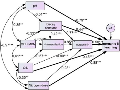 Path Analysis Indicating The Direct Bold Arrows And Indirect Thin Download Scientific