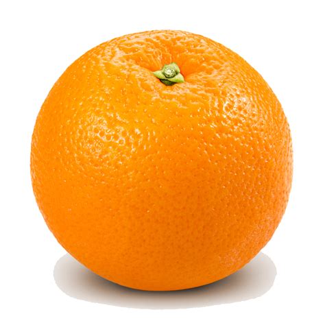 Orange Transparent | PNG All