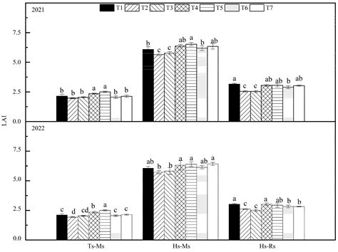 Optimized Tillage Method Increased Rice Yield In Rice Ratooning System