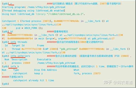 早看到这个 Gdb 调试实例，我也不至于被多进程多线程折磨！ 知乎