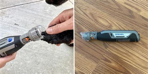 Im A Former Vet Assistant Who Has Trimmed Hundreds Of Dogs Nails And