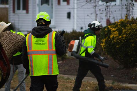 Strobert Tree Services Isa Certified Arborists