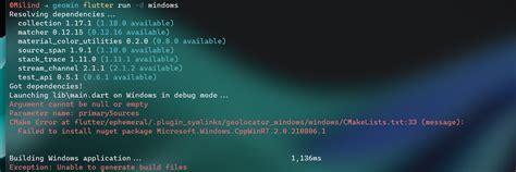 Bug Geolocator Fails To Build For Windows · Issue 1299 · Baseflow