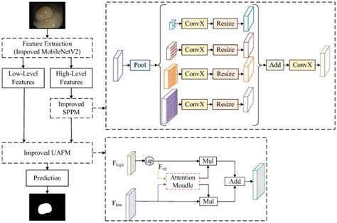 Lightweight Colon Polyp Segmentation Algorithm Based On Improved Deeplabv3 Pmc