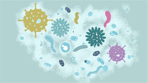 Researchers Decipher Viruses Decision Making Inside Host Bacteria Cgtn