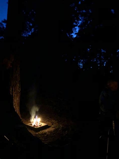 Teeny Tiny Campfire🌲🔥🦉 Fireplace Decor Campfire