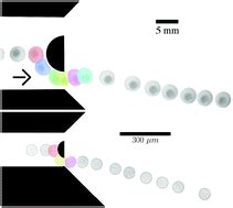 Sorting Of Capsules According To Their Stiffness From Principle To
