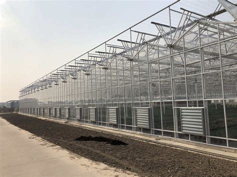 China Automated Green House Manufacturers Factory Customized Automated Green House Price