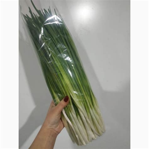 Продам зелену цибулю купити зелену цибулю — Agro Ukraine