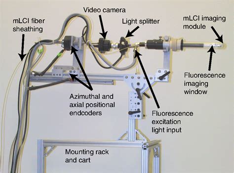 In Vivo Optical Imaging Of Human Vaginal Gel Thickness Distributions With A Probe Based Dual