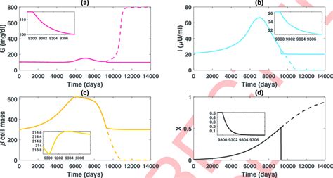 Altered Dynamics Of Glucose Insulin And Functional Beta Cell Mass