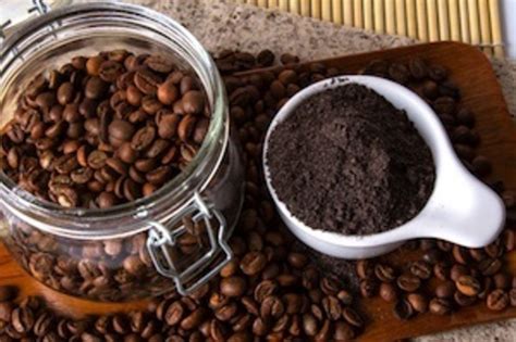 Five Uses For Spent Coffee Grounds Nexus Newsfeed