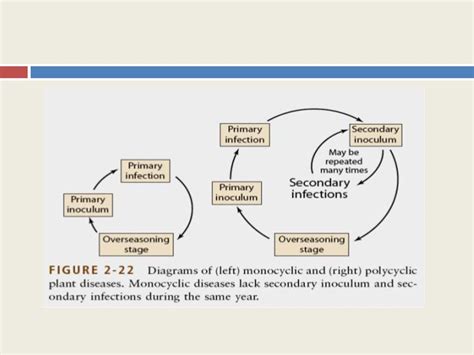 MODEL PERKEMBANGAN EPIDEMI Ppt Download