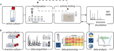 Recent Advances In Understanding The Sex Pheromone‐mediated Communication Of Diatoms Klapper