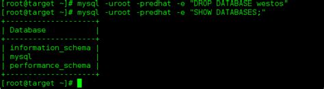 企业级 Mysql数据库的搭建及管理真实商业公司里的mysql数据库 Csdn博客